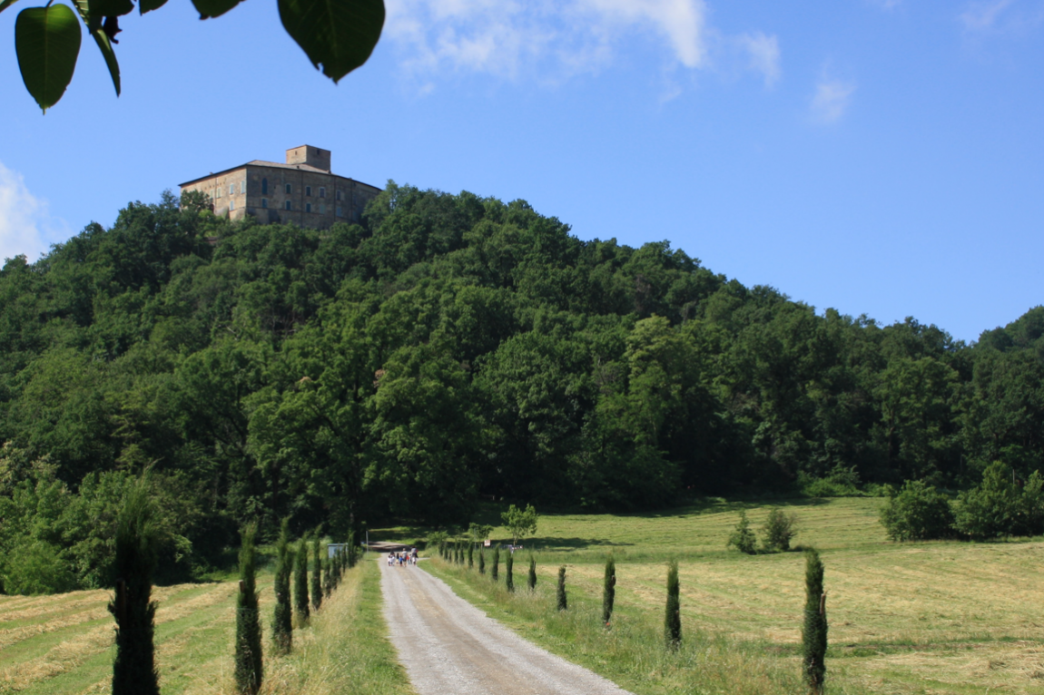 Quattro castella - Lavori di preparazione - Andria scrl